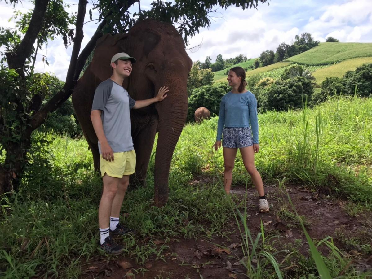 Chiang Mai Morning: Elephant Sanctuary & Waterfall Tour : Elephant ChiangMai Thailand Elephant ...